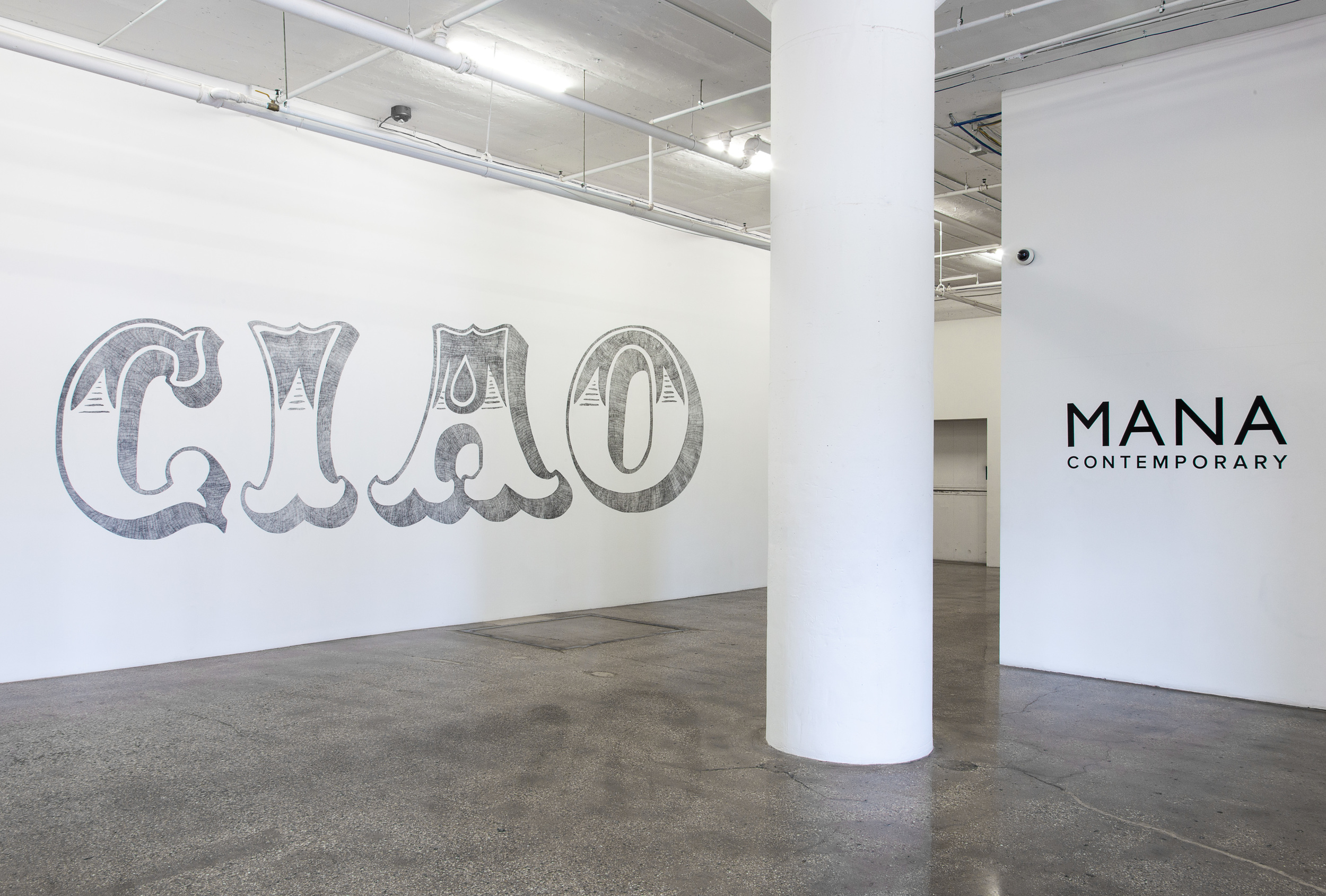 CIAO, by artist Thomas Berra - Mana Contemporary