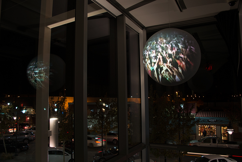 Becker, Jonas - Mana Contemporary