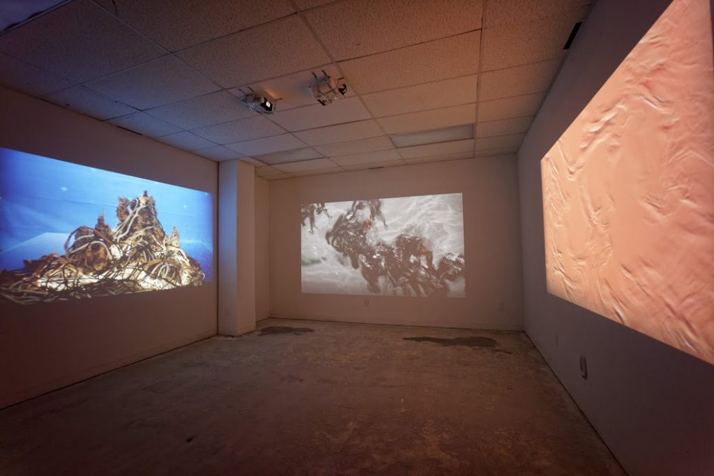 Flatland: A Journey of Many Dimensions - Mana Contemporary