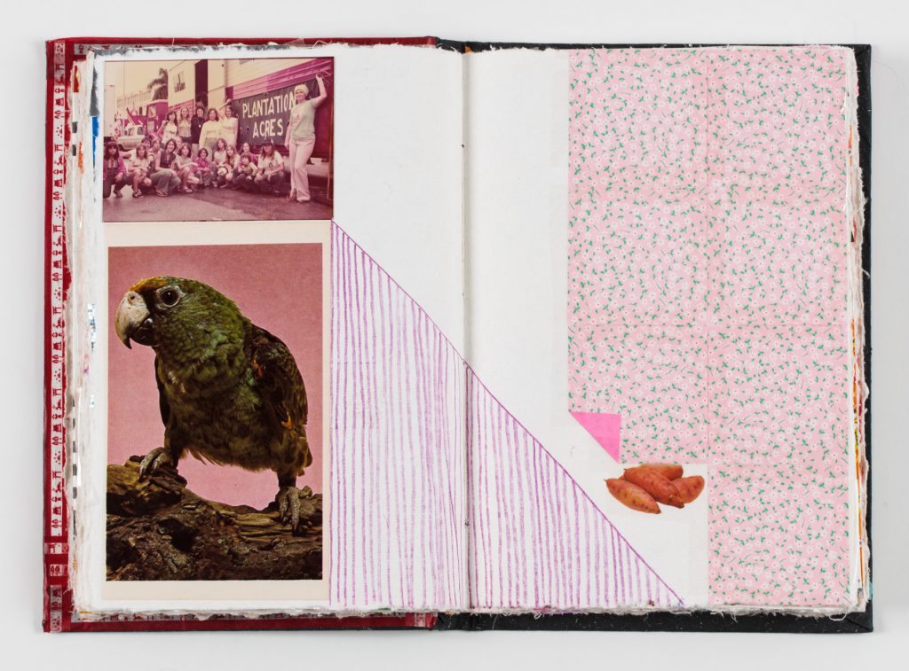 McCafferty, Kelly - Mana Contemporary