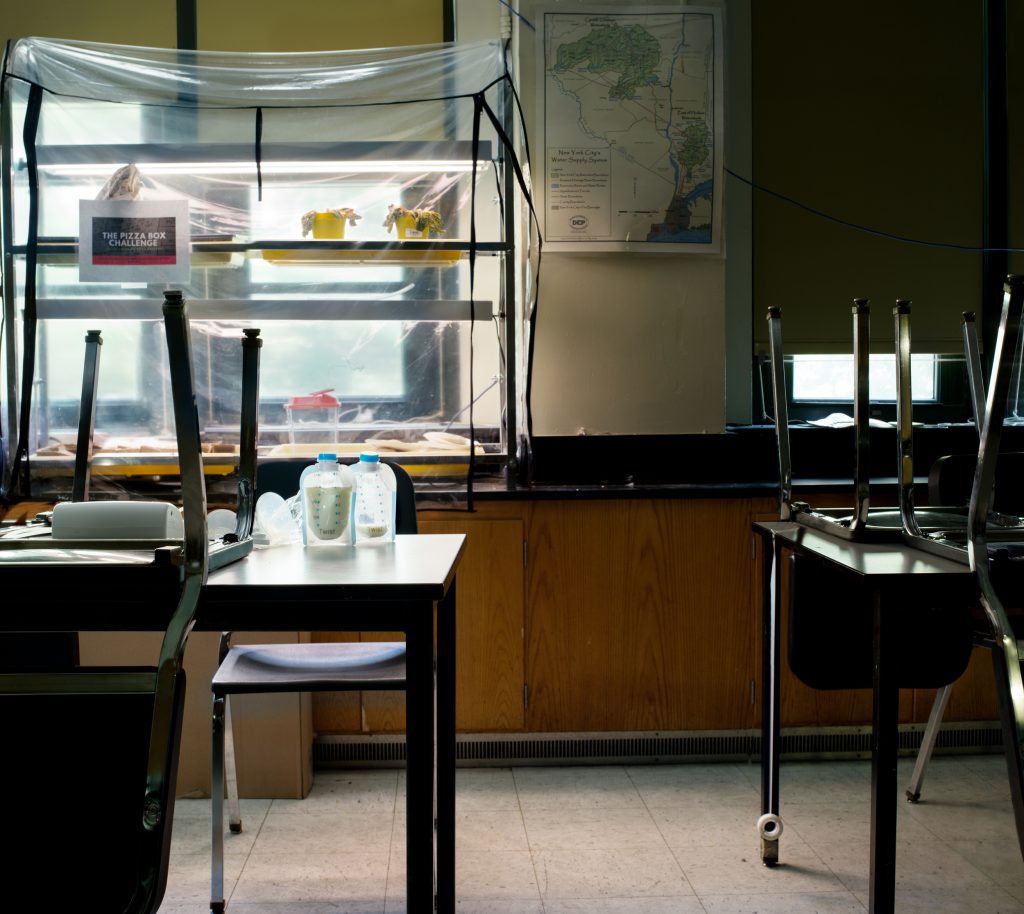 "You’re Advised to Look at a Picture": Corinne Botz's "Milk Factory ...