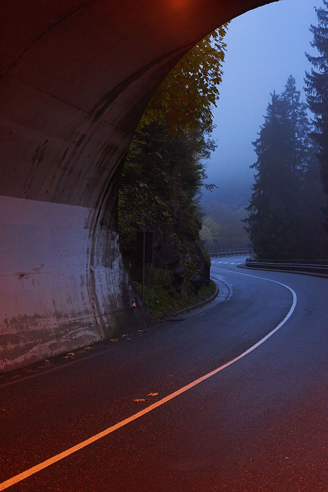 #WIP Photo: Magda Biernat and Denis Laner - Mana Contemporary