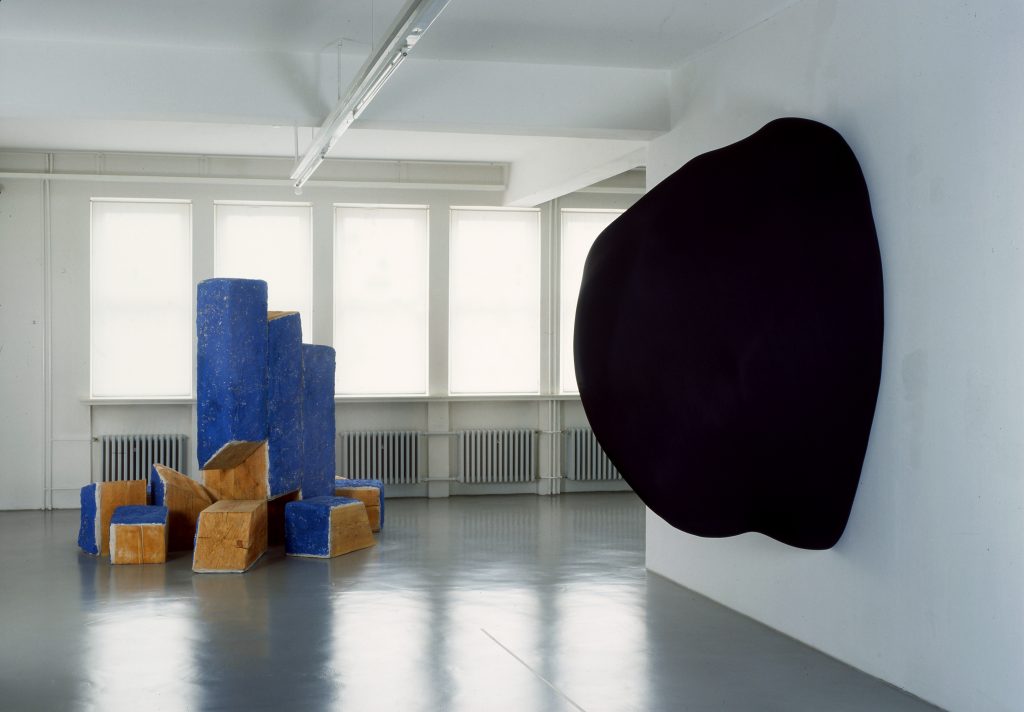 Focus: Michael Gitlin - Mana Contemporary