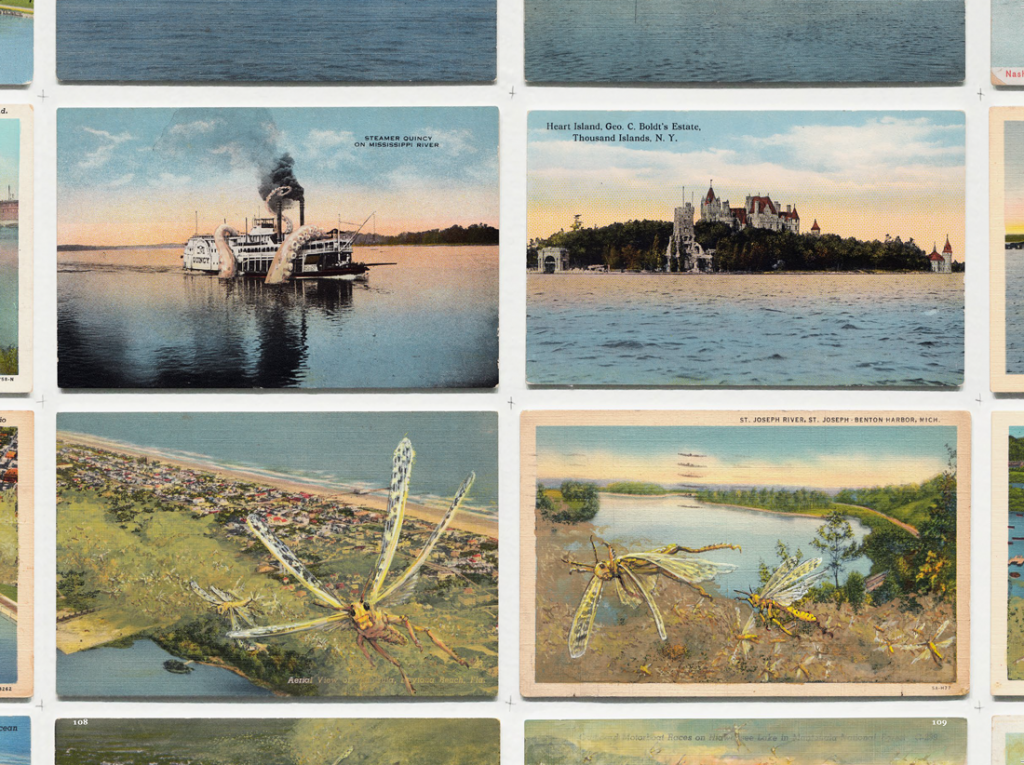 David Opdyke, This Land - Mana Contemporary