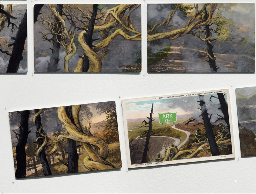 David Opdyke, This Land - Mana Contemporary