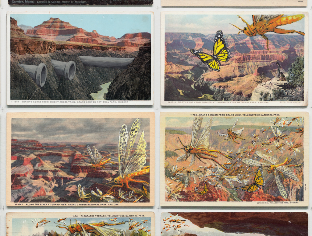 David Opdyke, This Land - Mana Contemporary