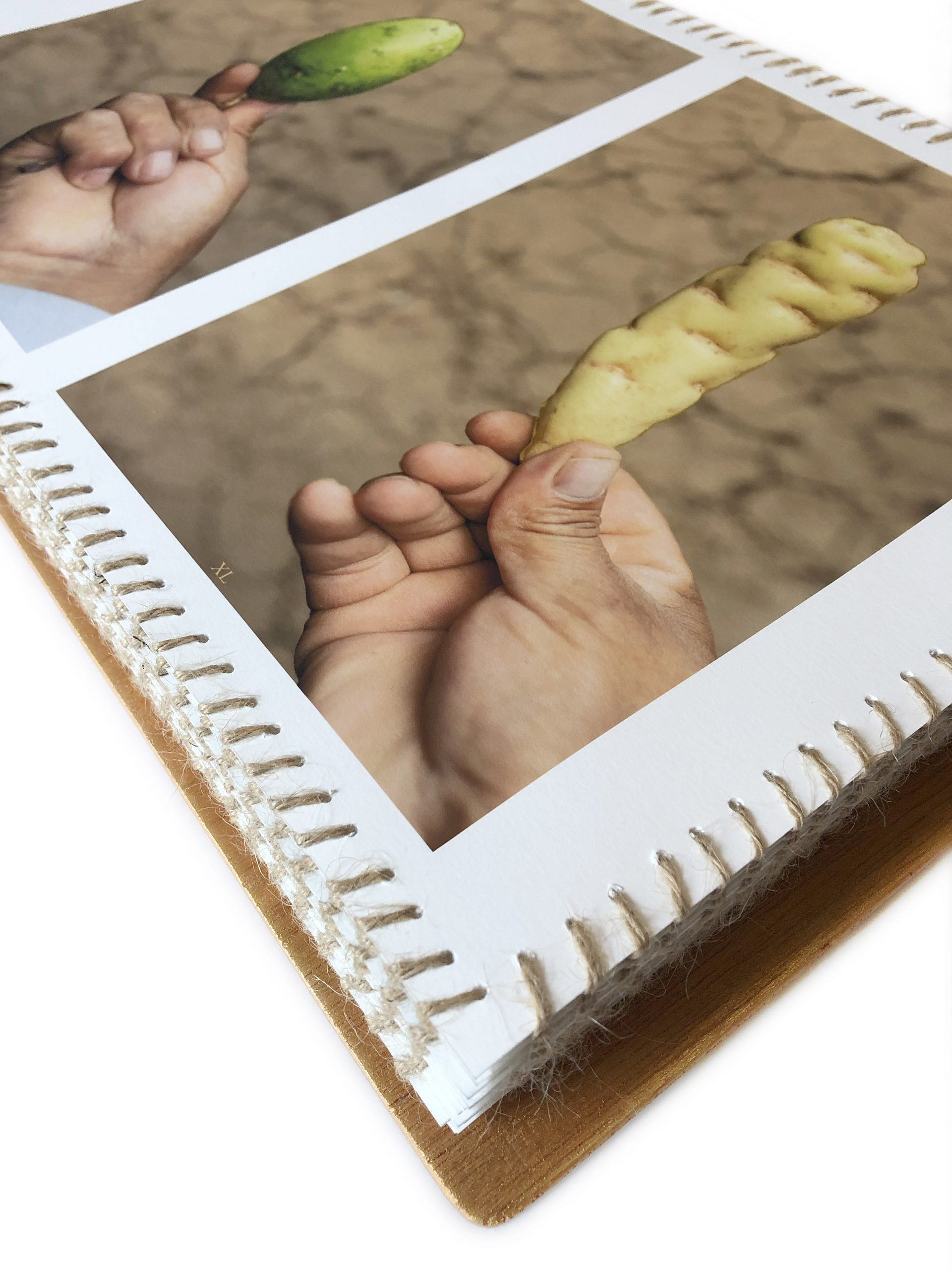 Monira Foundation Presents: Of Plants And People, Artist Book - Mana ...