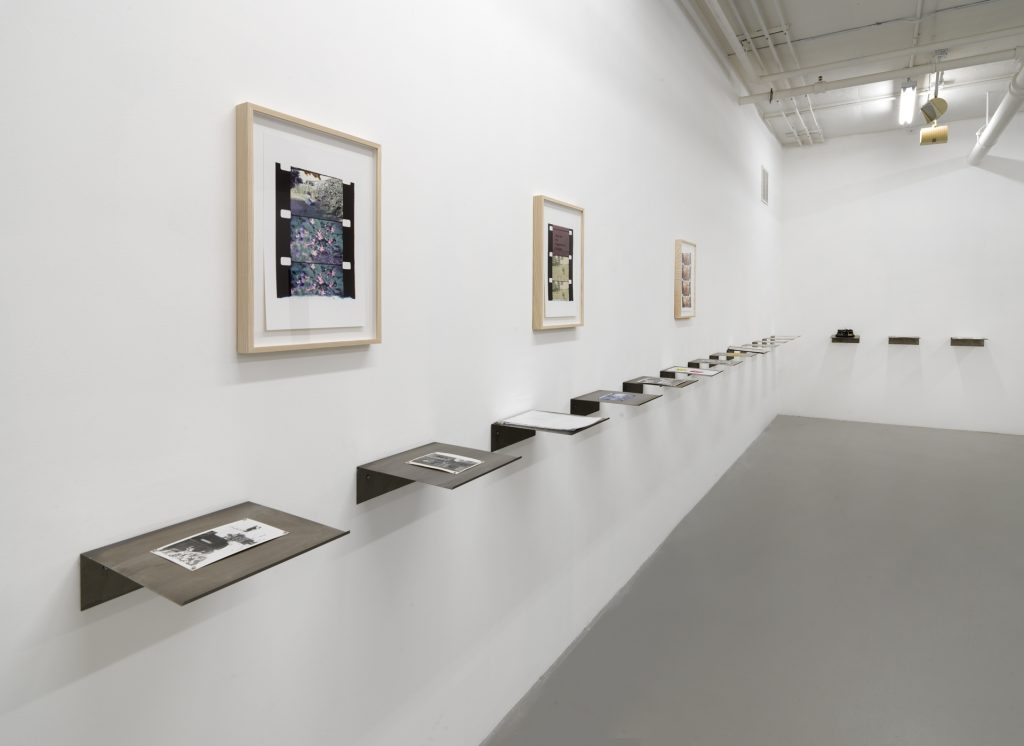 Jonas Mekas, Open Archives presented by Monira Foundation - Mana ...