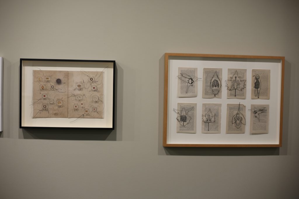 Eric Rhein: Kindred - Mana Contemporary