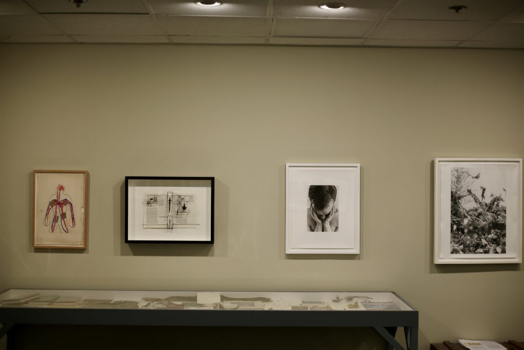 Eric Rhein: Kindred - Mana Contemporary